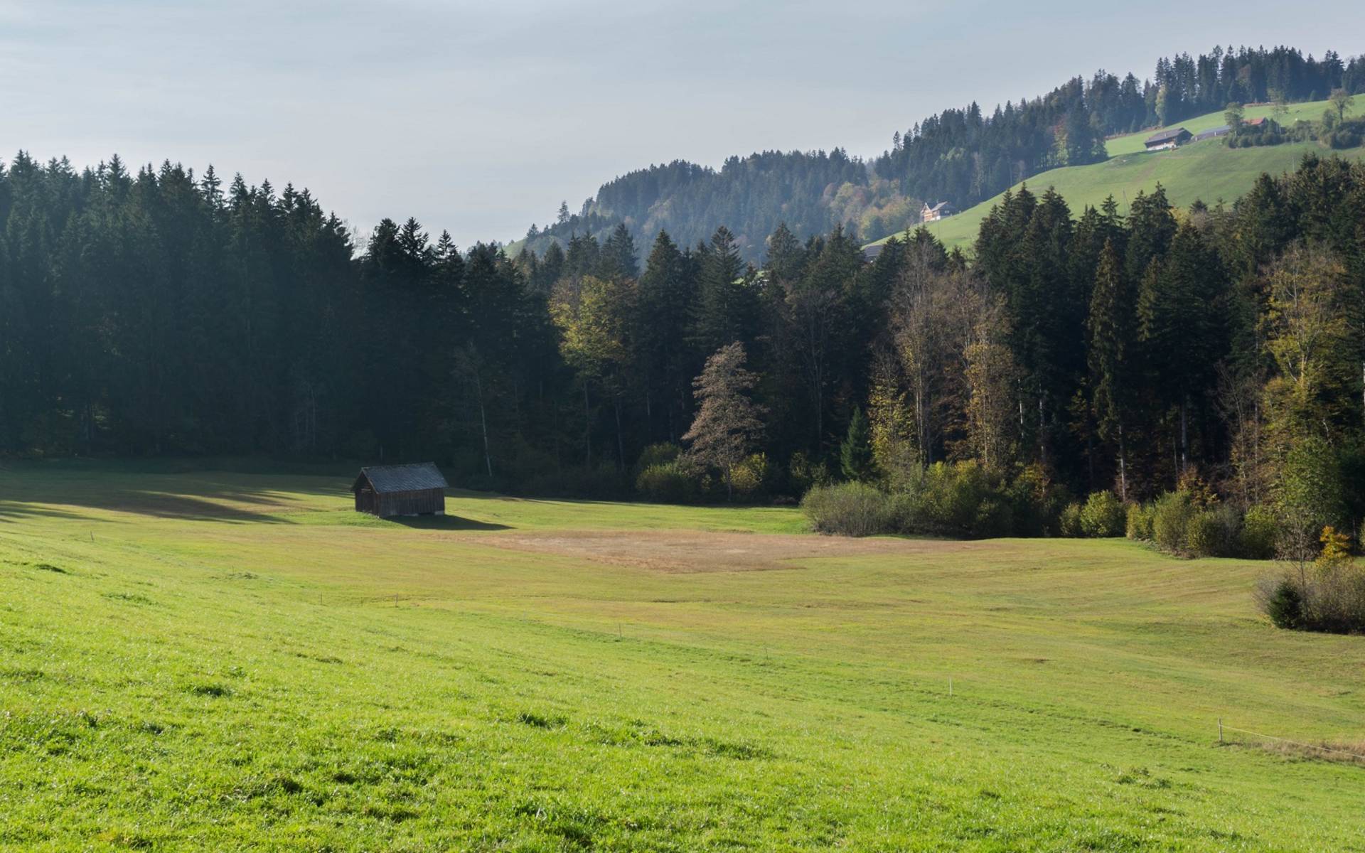 25020: Unterschlatt, Hemberg | Pro Natura St.Gallen-Appenzell