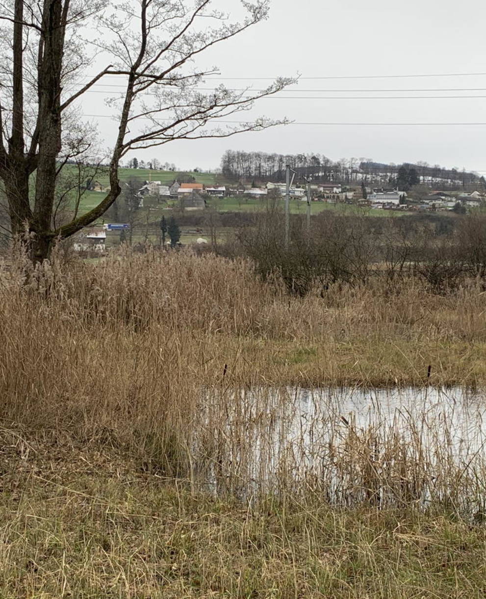 Buriet / Buechsee | Pro Natura St.Gallen-Appenzell